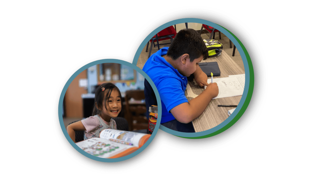 Partners - Middle Tree